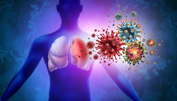 احرص عليها.. 6 ممارسات تقلل التهابات جسمك وتدعم صحتك | مبتدا